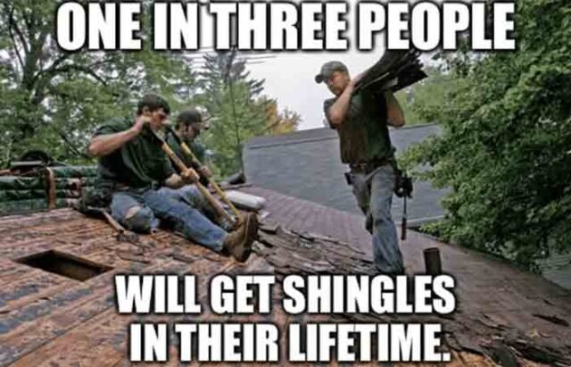 Roof Jokes: Funny Memes, Puns, Sayings & Slogans | RoofScour